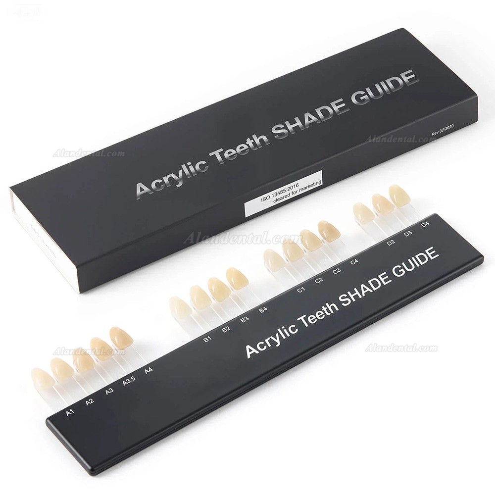 Buy Cheap Dental Acrylic Teeth Shade Guide Bleached Teeth Guide 2-Layer ...
