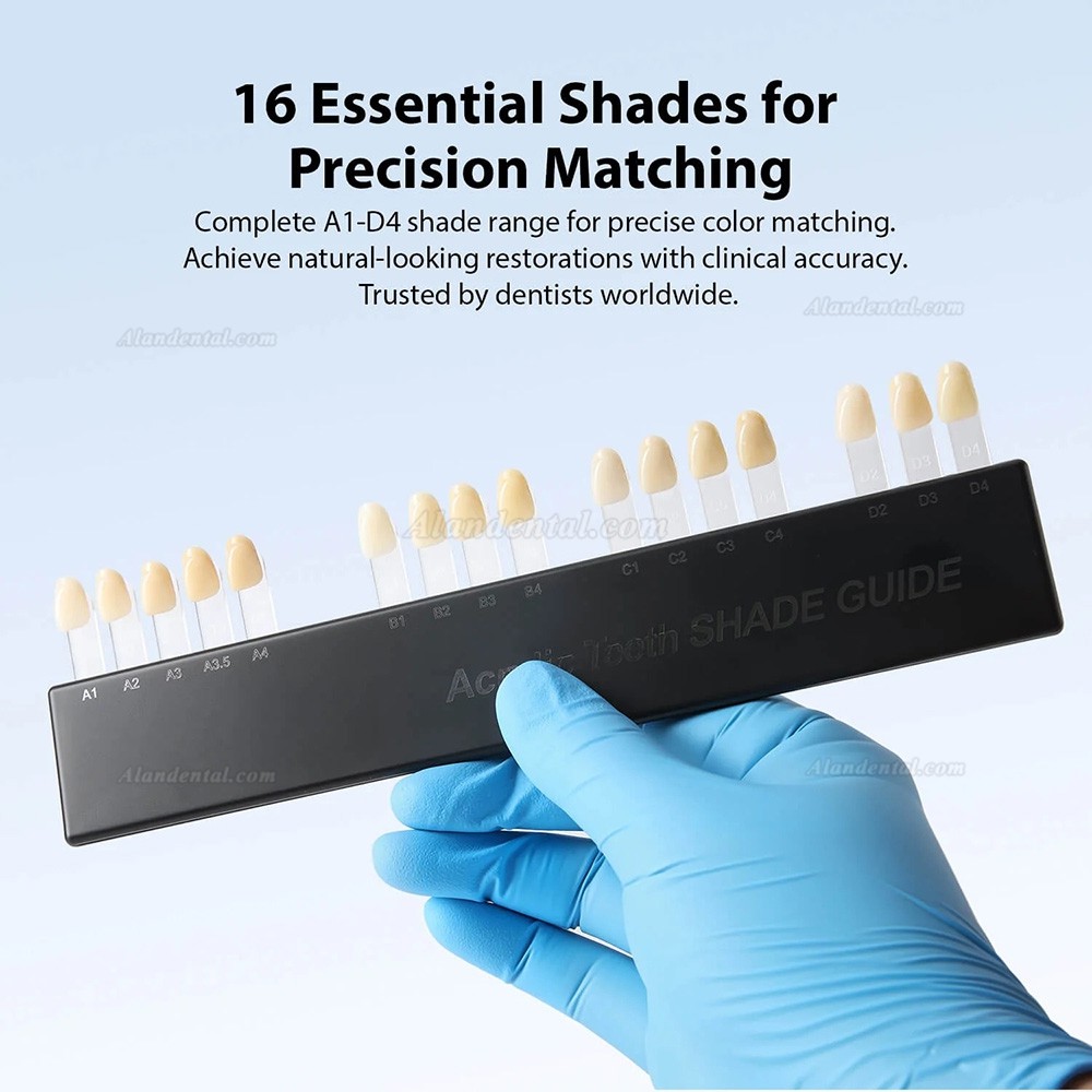 Buy Cheap Dental Acrylic Teeth Shade Guide Bleached Teeth Guide 2-Layer ...