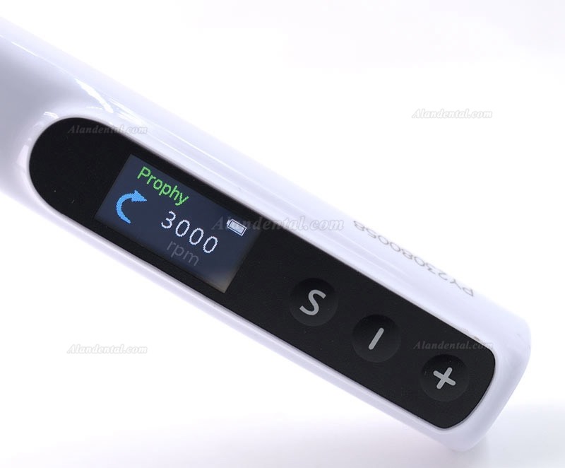 Prophy Tips Dental Electric Prophy Handpiece - Cordless, 360° Swivel ...