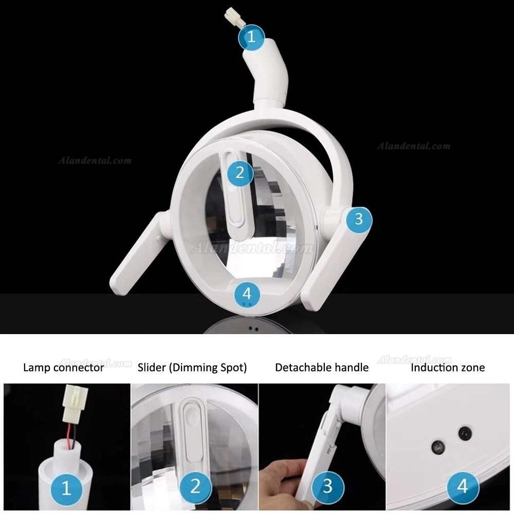 Buy Cheap Dental Chair Light LED Oral Light Lamp Dual-Color Lights 15W ...