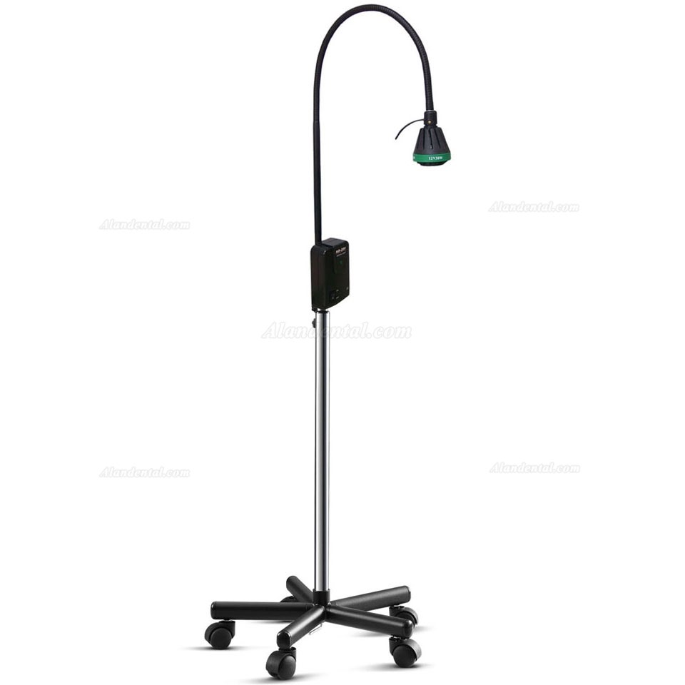Buy Cheap KWS KD-2035W-1 35W halogen Floor prop medical examination ...