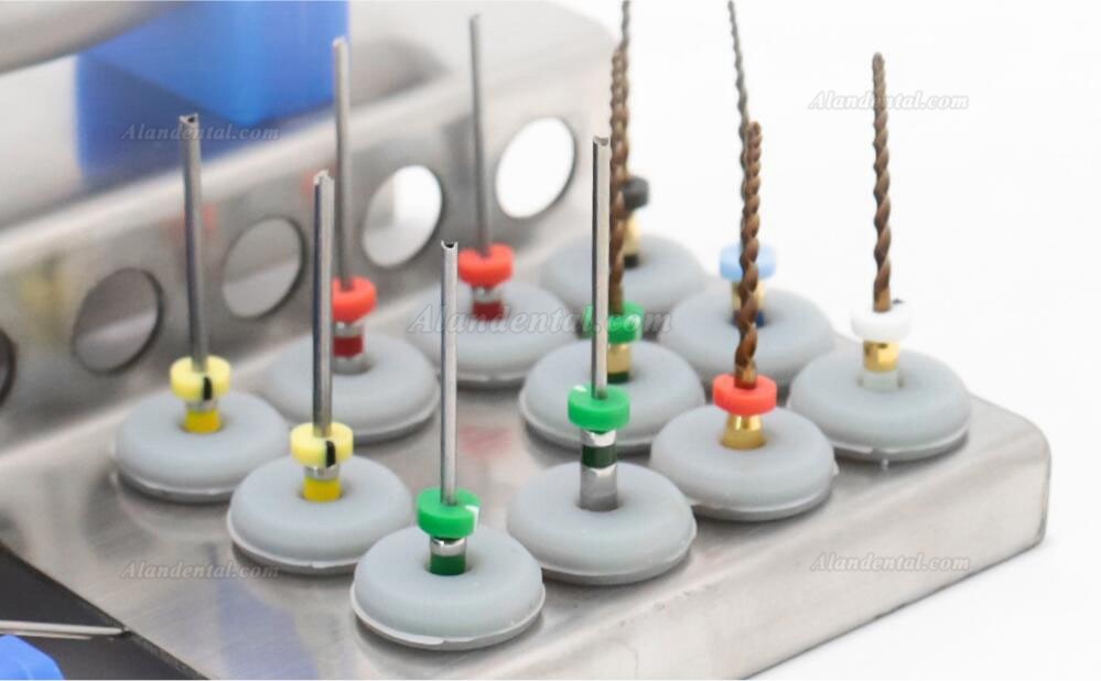 Buy Cheap Tosi Dental Endo Broken File Removal Kit Endo File Retrieval ...