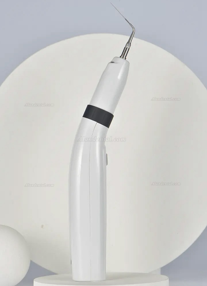 Buy Cheap Westcode Endo UItra Activator Handpiece Alandental.com|Dental ...