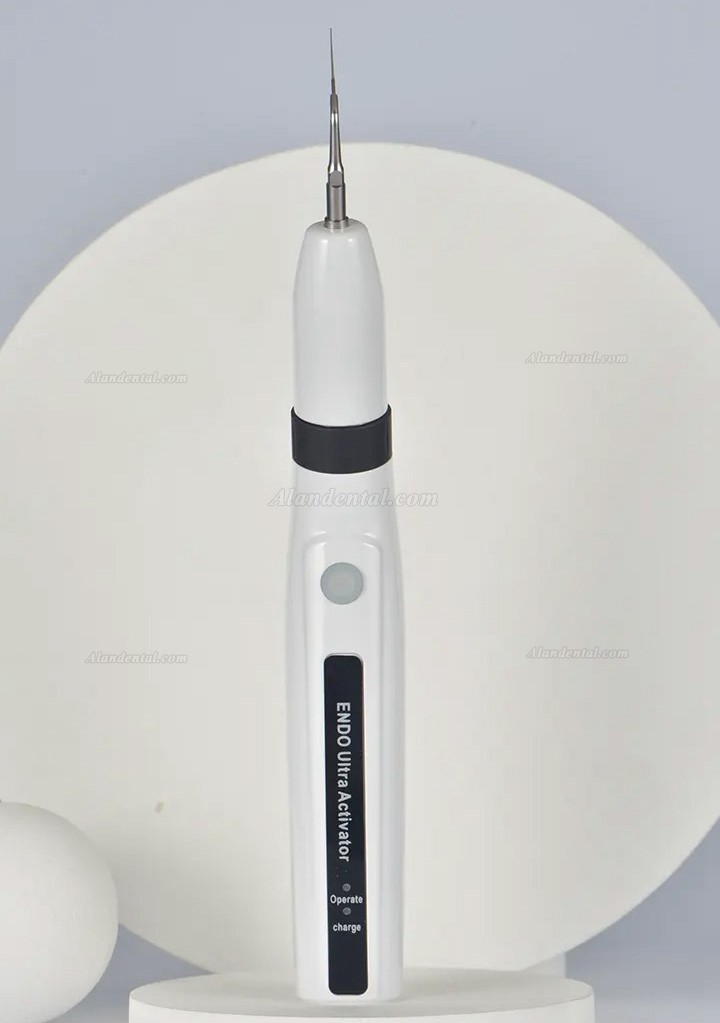 Buy Cheap Westcode Endo UItra Activator Handpiece Alandental.com|Dental ...