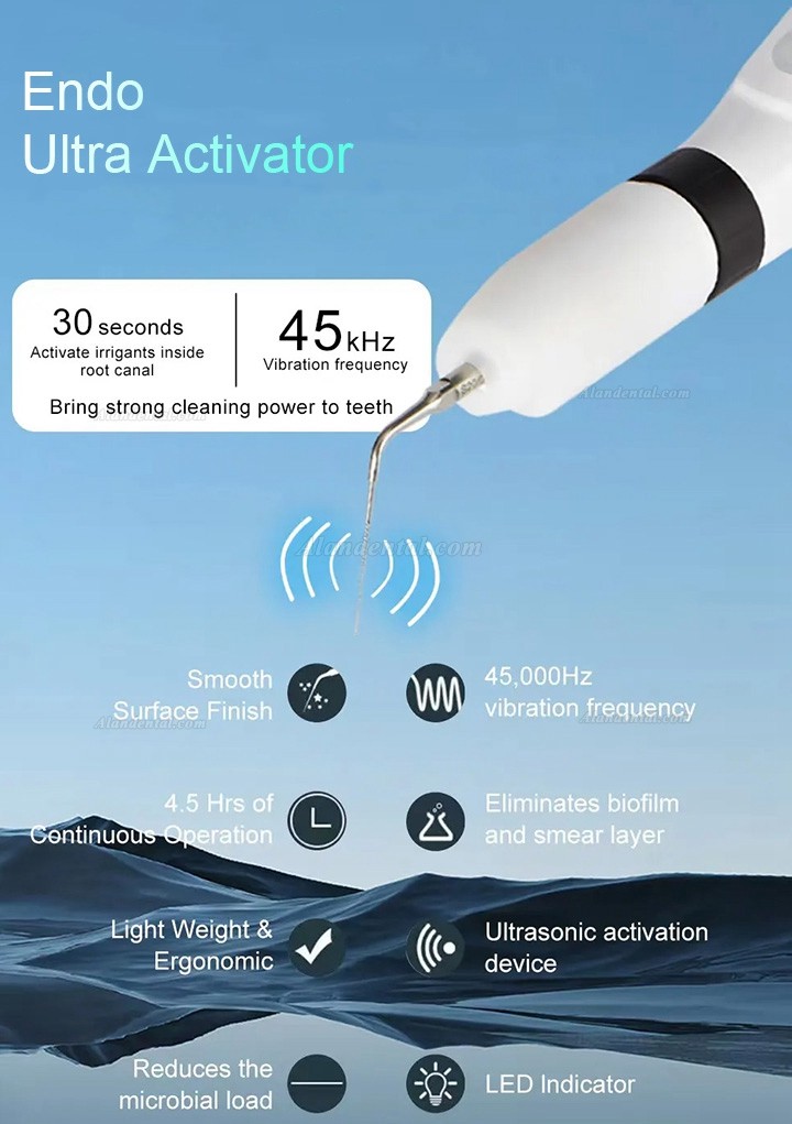 Buy Cheap Westcode Endo UItra Activator Handpiece Alandental.com|Dental ...