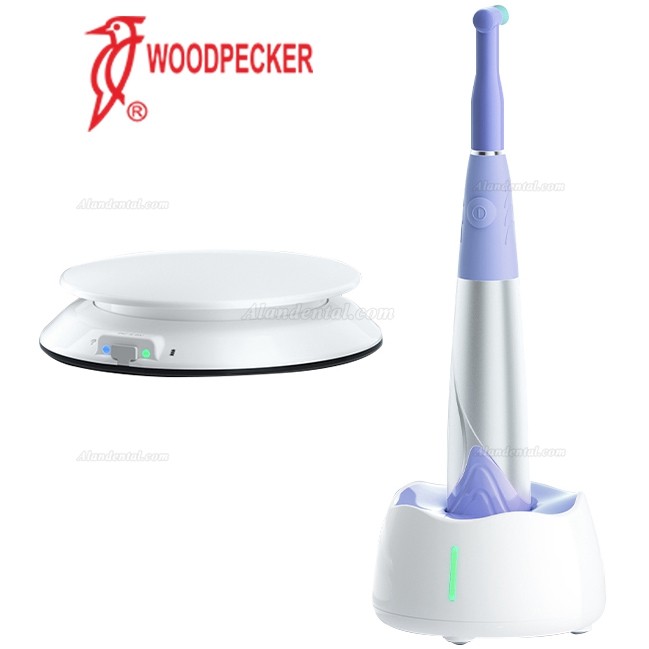 Buy Cheap Woodpecker i-Polish Dental Hygiene Prophy Handpiece Polisher ...